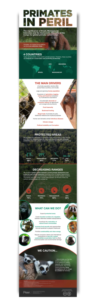 Science infographic: Primates in Peril | Significant Science Communication