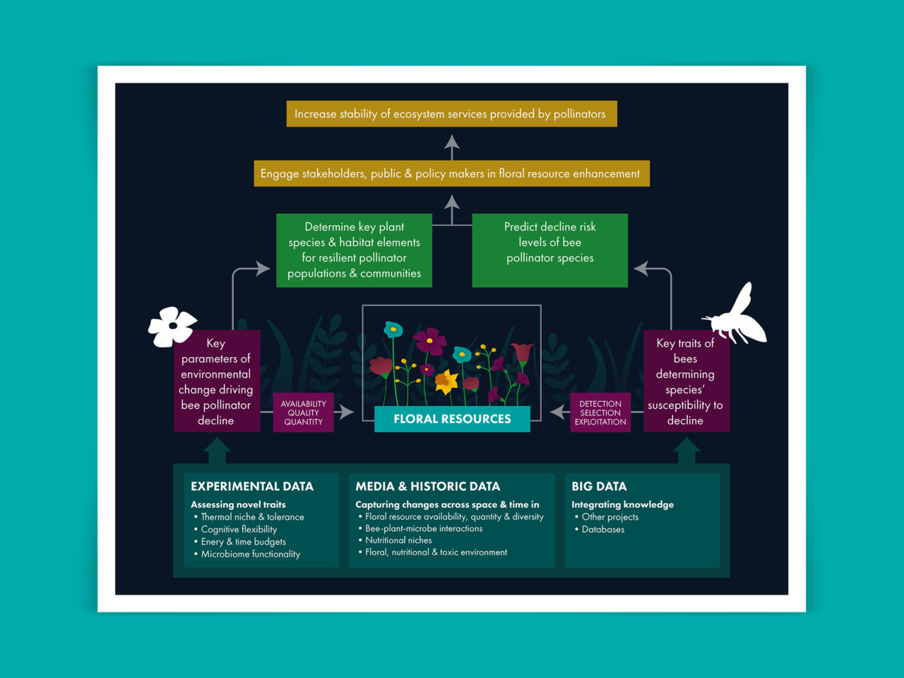 Global pollinator decline: EU grant proposal figures | Significant ...